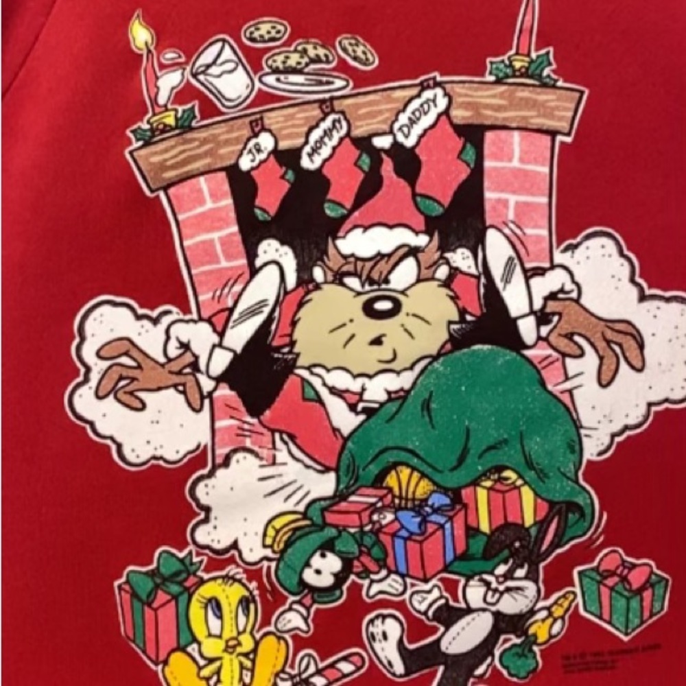 Vintage Taz 1993 Warner Bros Looney Tunes Red Sweater… - Gem